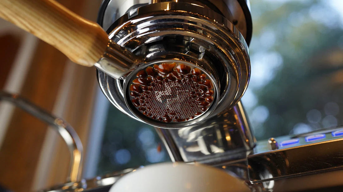 Weber Workshops Coffee Grinders – High-End Grinders Switzerland - Bern ...